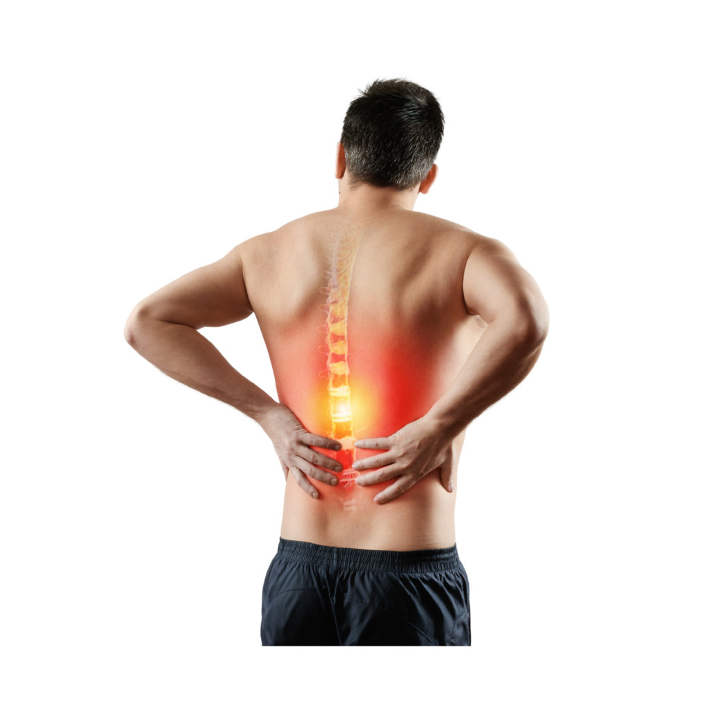 Therapists - Fisio