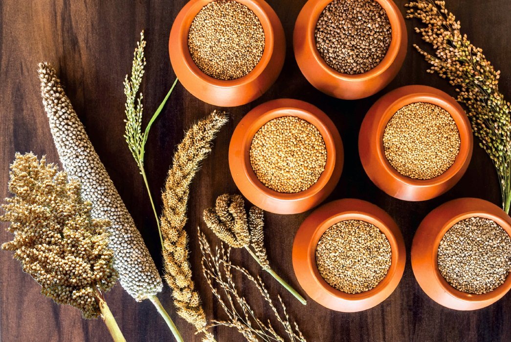 What’s the Secret to the Nutritious Traditional Indian Diet? - Fisio